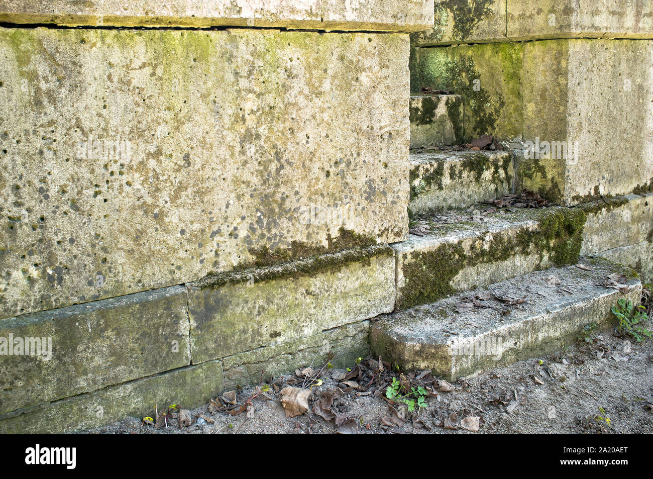 Mossy steps hi-res stock photography and images - Alamy