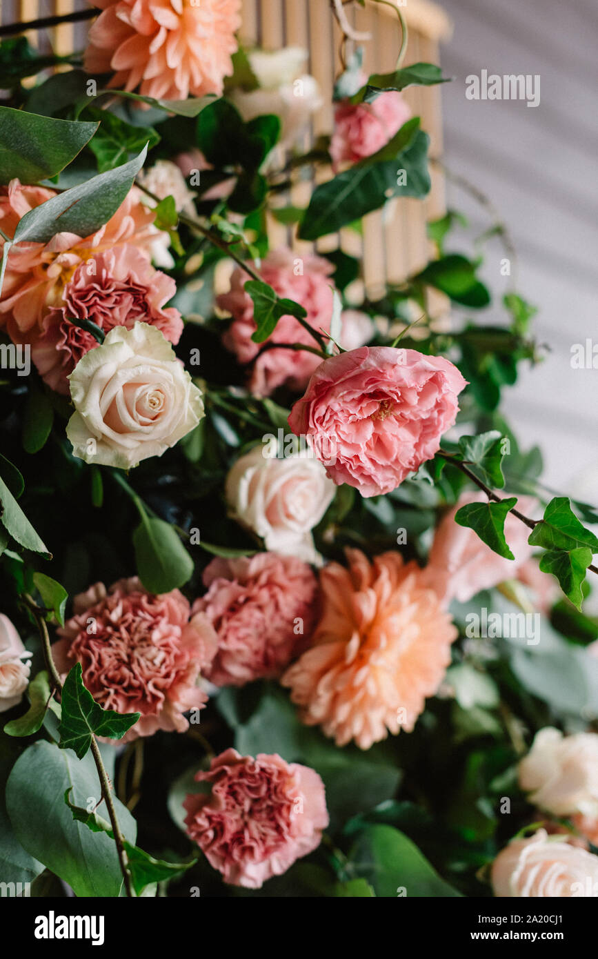 Gentle roses and gentle cloves decorate wedding arch. Beautiful wedding ...