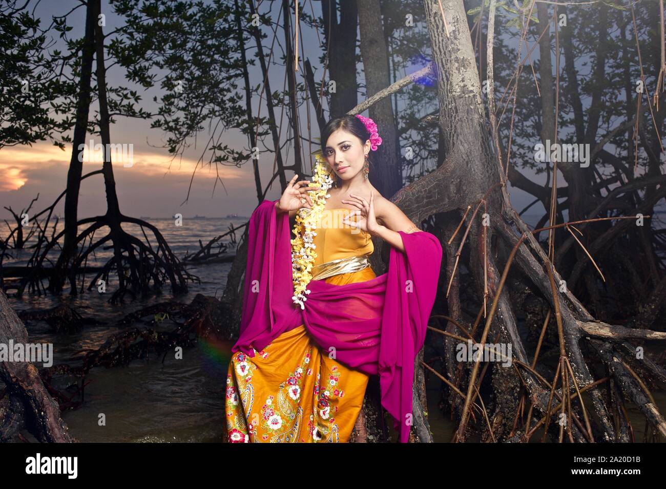 Portrait of Malay lady Stock Photo - Alamy