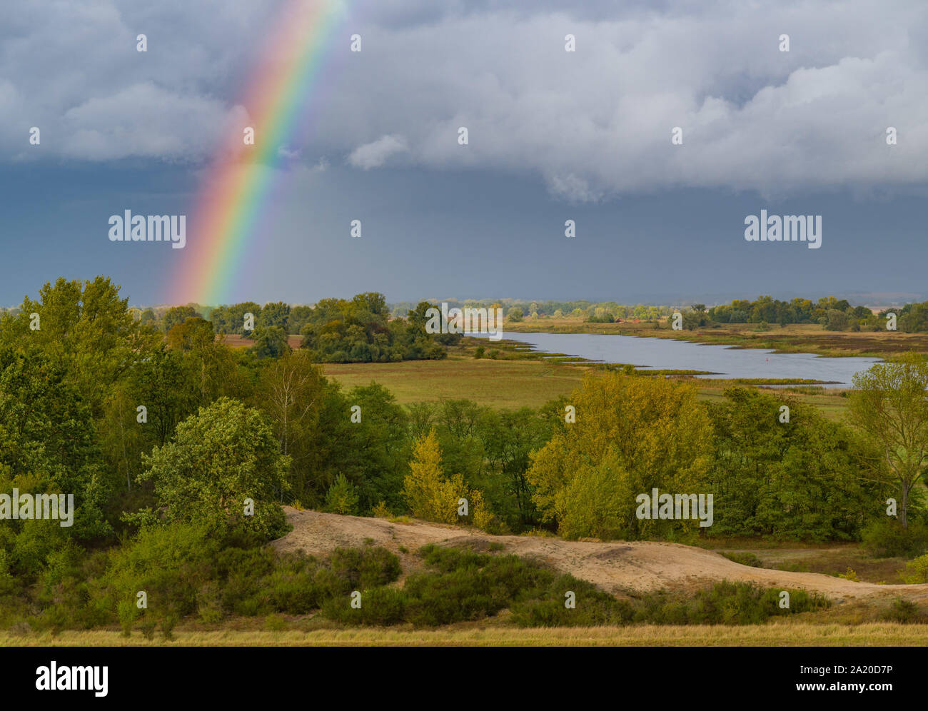 Canopy celestial hi-res stock photography and images - Alamy