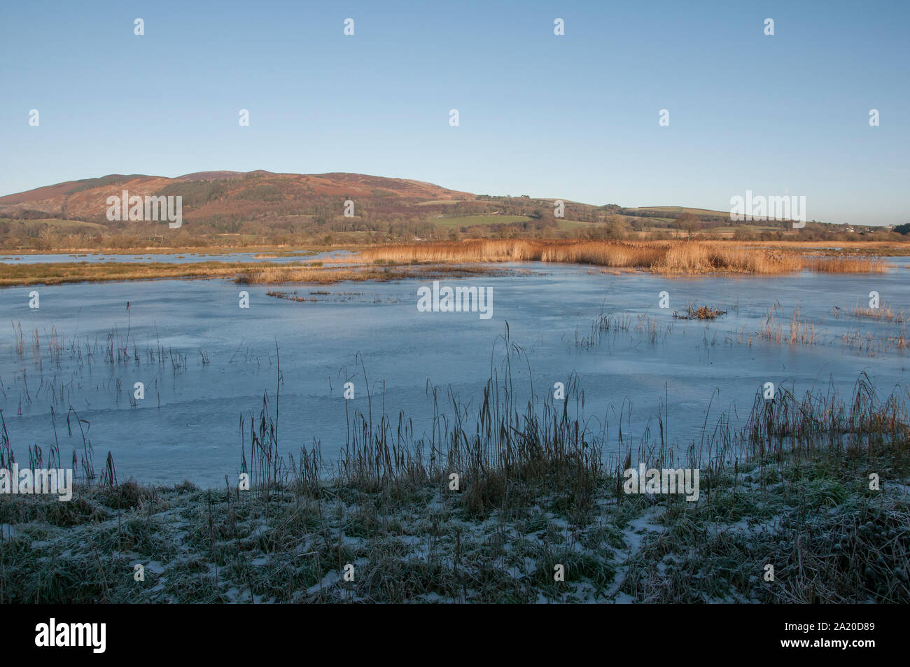 Rspb Mersehead Reserve High Resolution Stock Photography and Images - Alamy