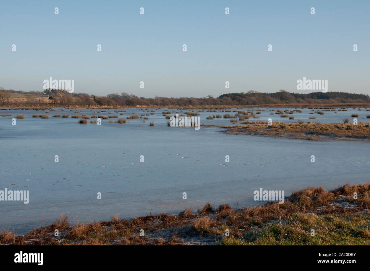 Rspb mersehead reserve hi-res stock photography and images - Alamy
