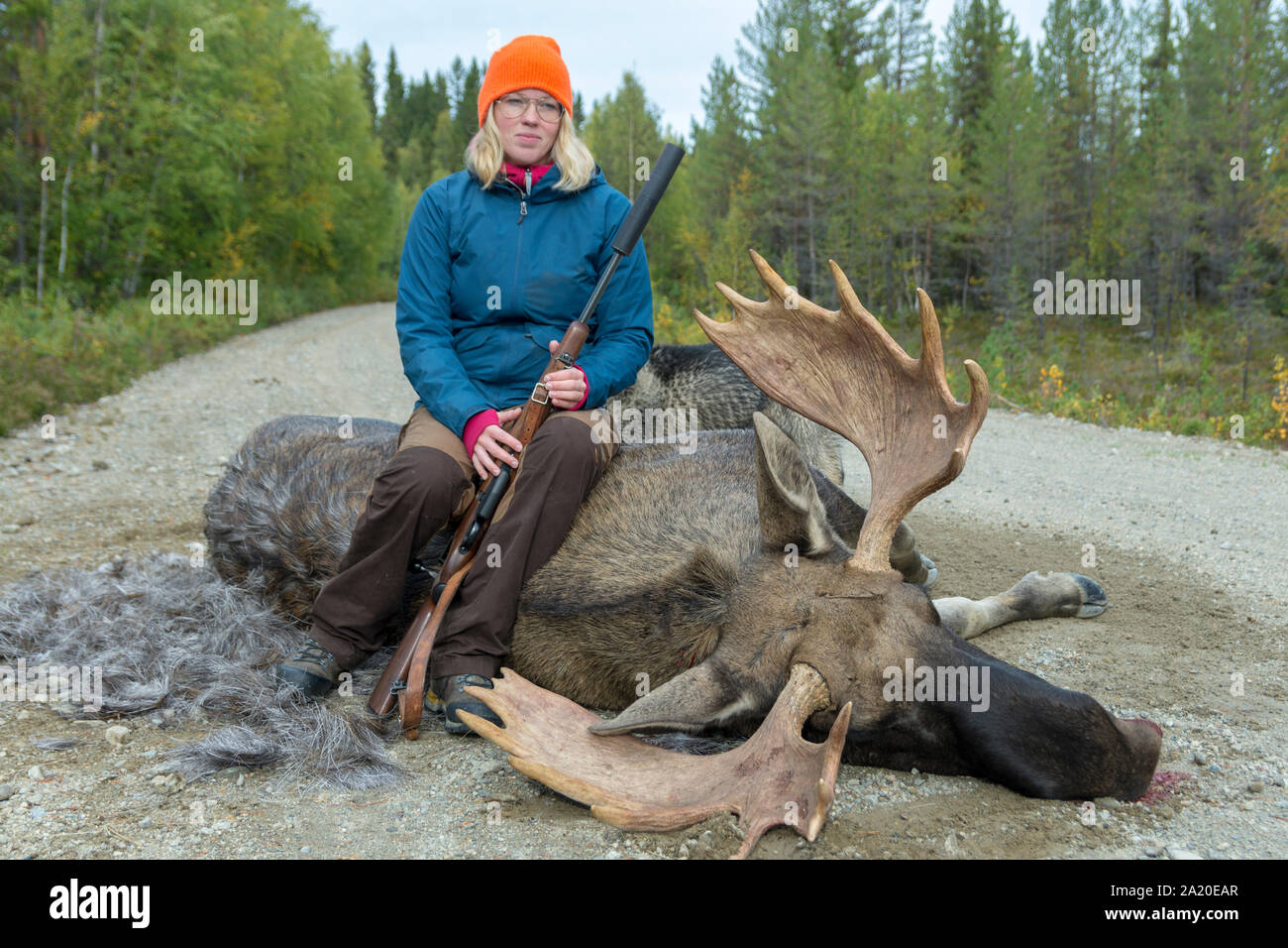 Moose Attacks Hunter