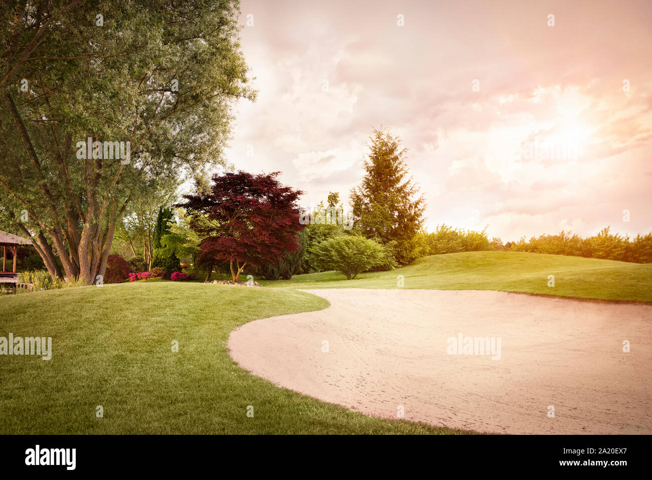Golf fairway at sunset Stock Photo - Alamy