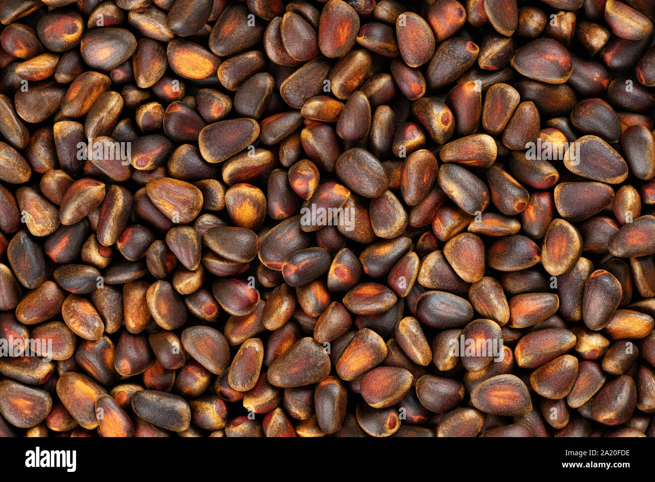 unpeeled cedar nuts Stock Photo - Alamy