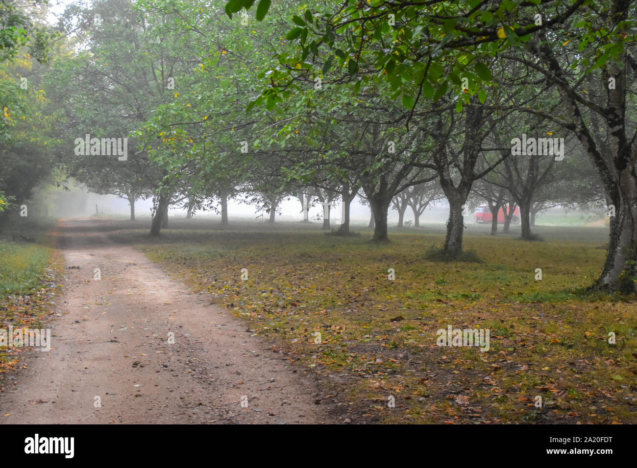 Walnut grove hi-res stock photography and images - Alamy