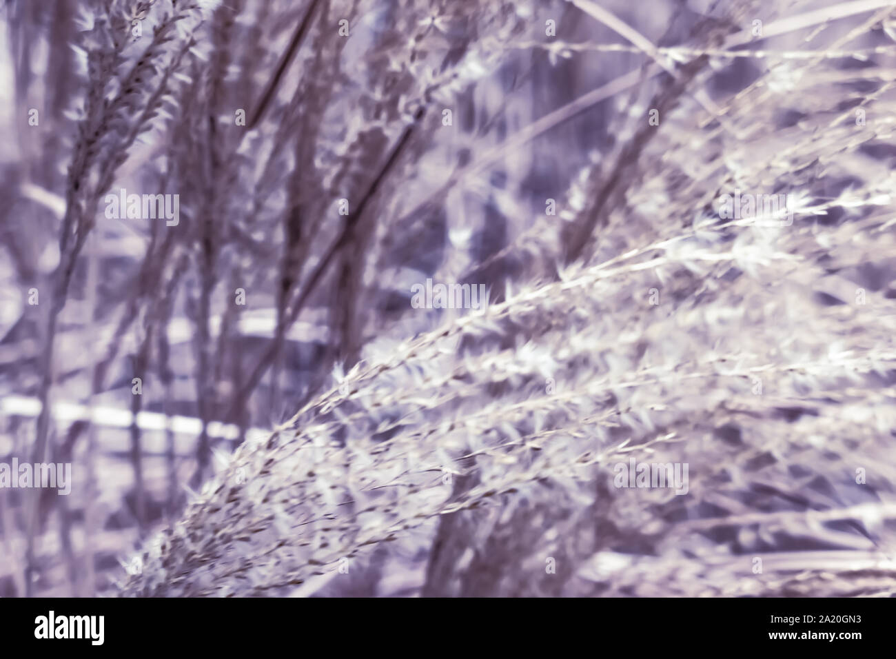 Rural landscape, pastel backdrop and environmental design concept ...