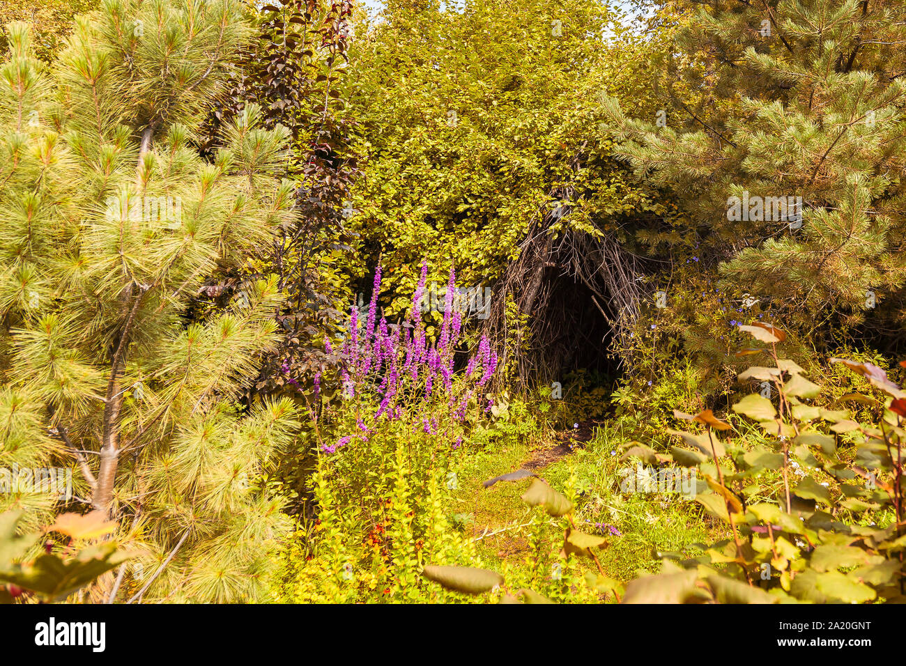 Primitive hut in nature park hi-res stock photography and images - Alamy