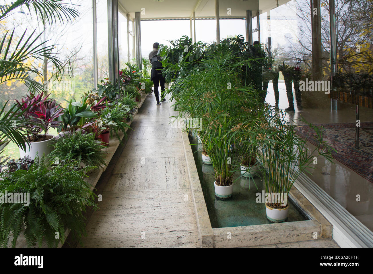 Villa Tugendhat designed by architect Mies van der Rohe in 1928-1930 ...