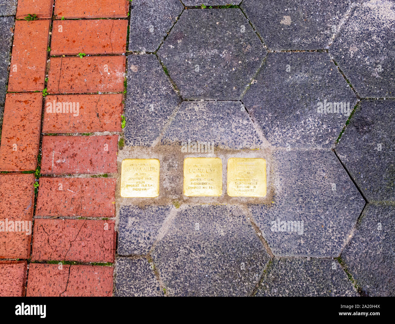 Stolpersteine Project High Resolution Stock Photography and Images - Alamy