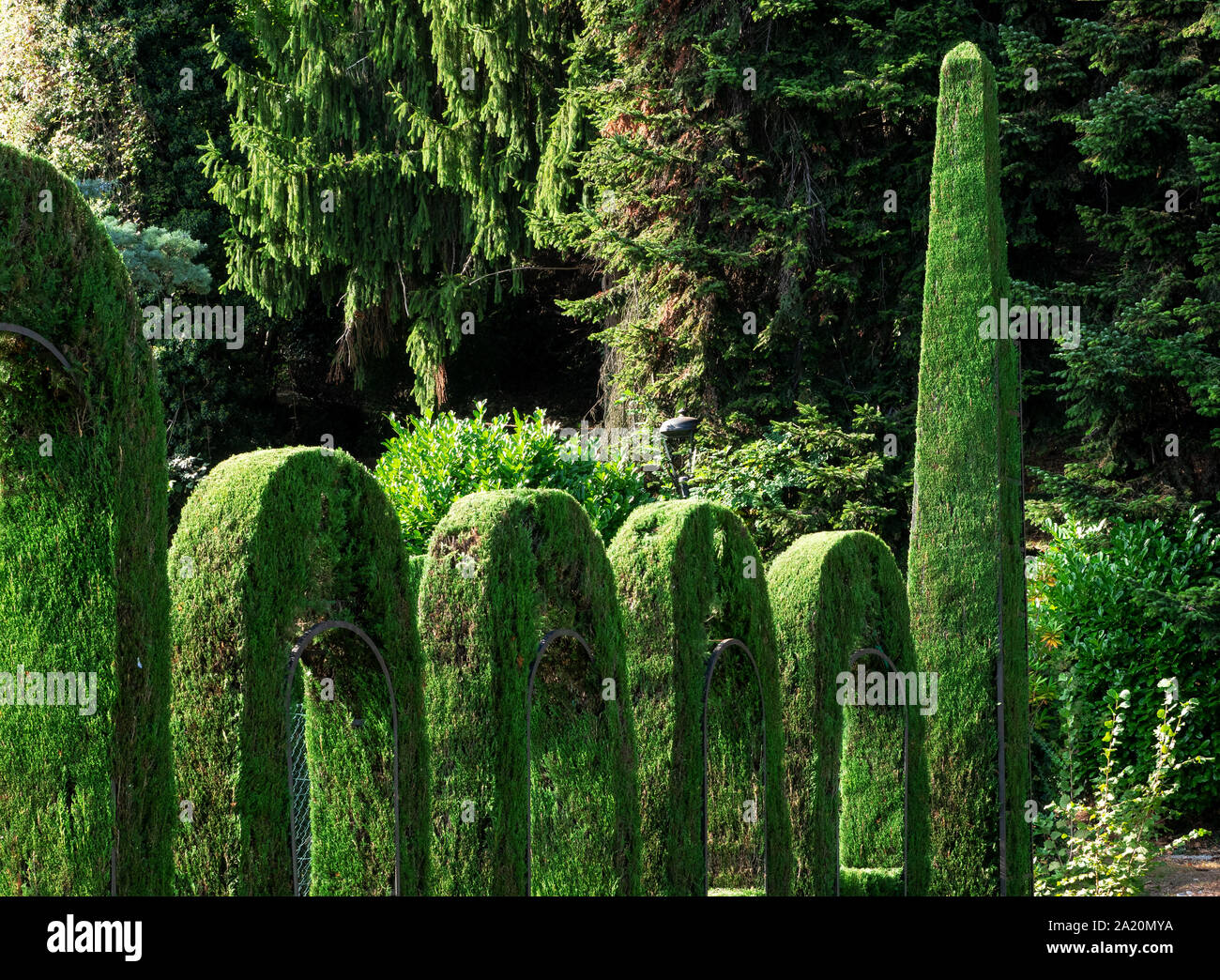 ornamental arches in a park made with cypress trees. Lombardy - Italy ...