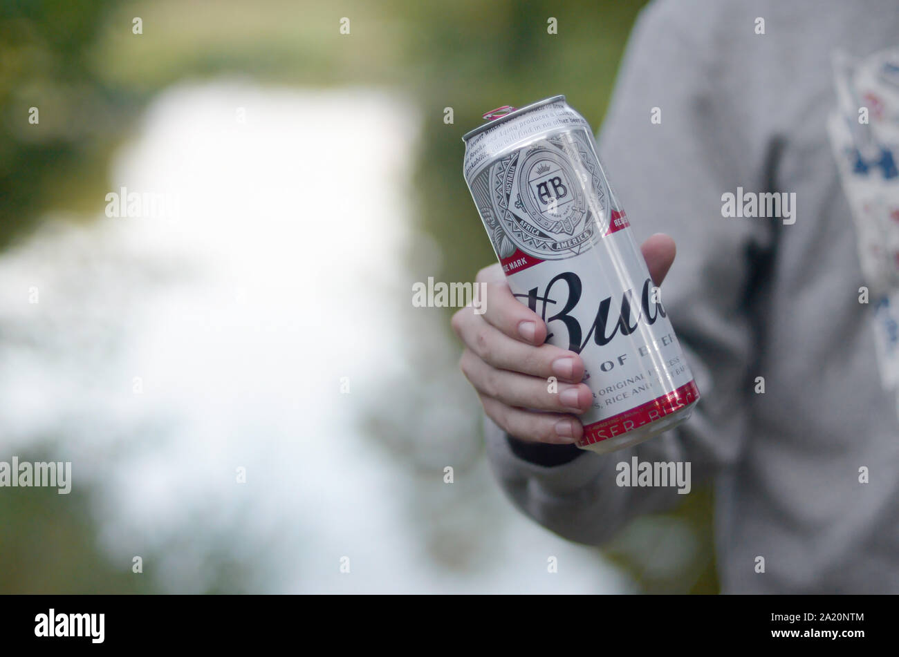 Budweiser king of beers logo hi-res stock photography and images - Alamy