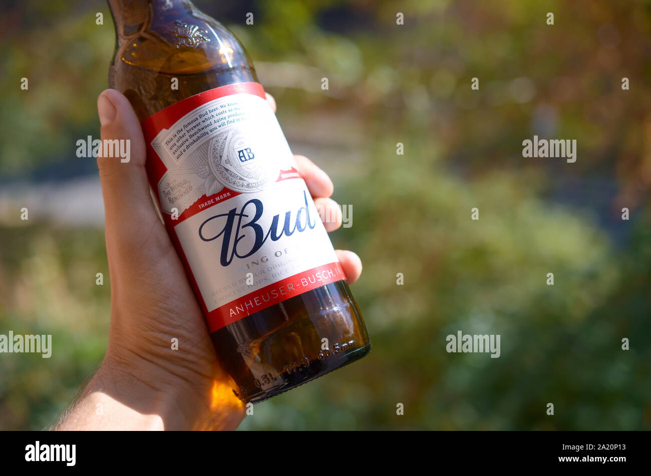 KHARKOV, UKRAINE - SEPTEMBER 23, 2019: Bottle of Budweiser Bud beer in ...