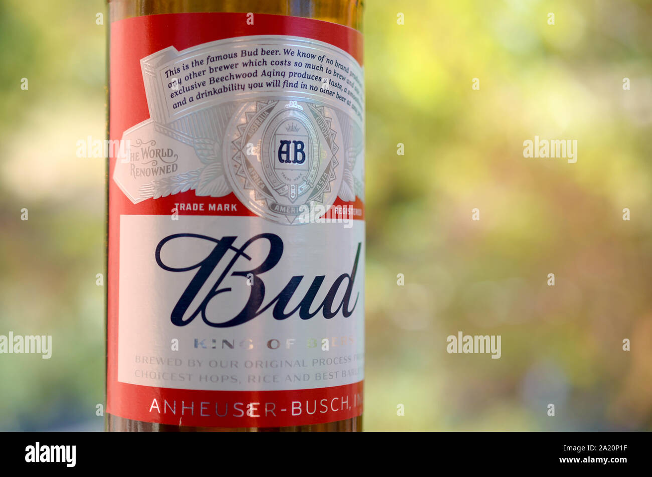 KHARKOV, UKRAINE - SEPTEMBER 23, 2019: Fragment of Budweiser Bud beer ...