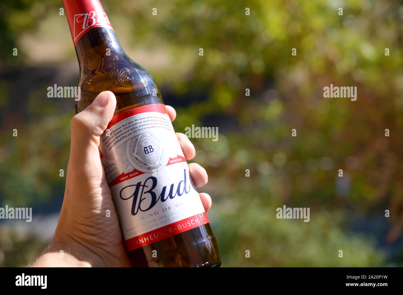 Budweiser king of beers logo hi-res stock photography and images - Alamy