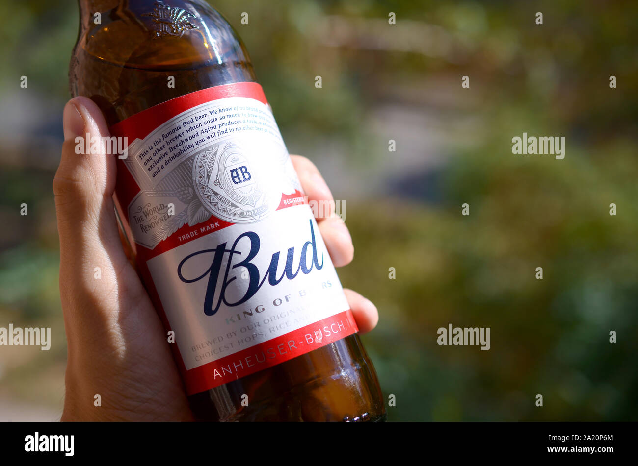 KHARKOV, UKRAINE - SEPTEMBER 23, 2019: Bottle of Budweiser Bud beer in ...