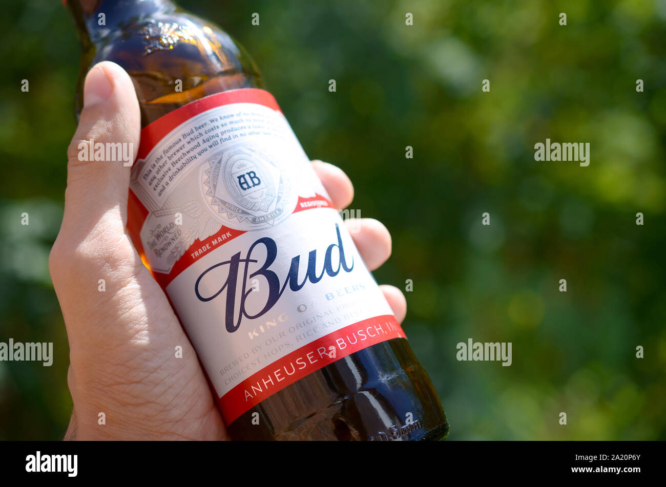 KHARKOV, UKRAINE - SEPTEMBER 23, 2019: Bottle of Budweiser Bud beer in ...