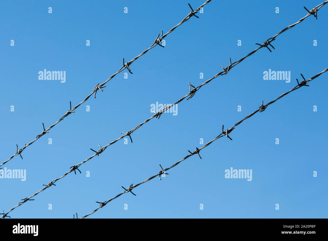 Three threads of stretched barbed wire double strand type, zinc coated ...