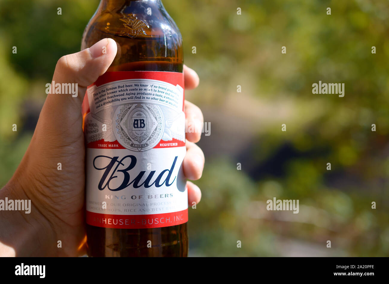 KHARKOV, UKRAINE - SEPTEMBER 23, 2019: Bottle of Budweiser Bud beer in ...