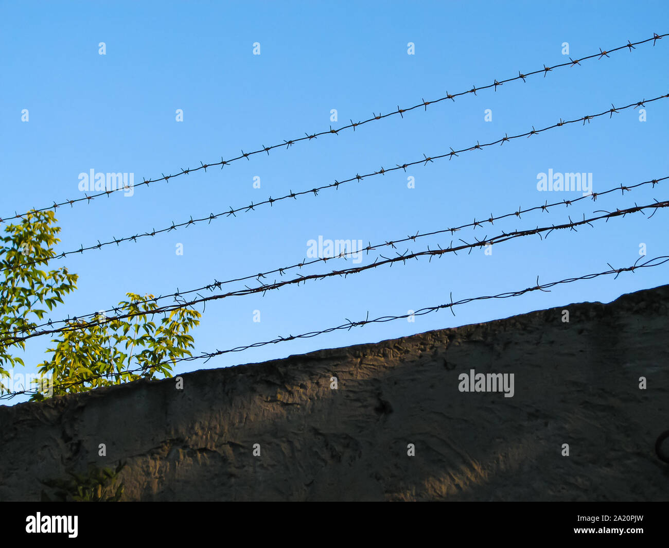 Barbed wire fence old hi-res stock photography and images - Alamy