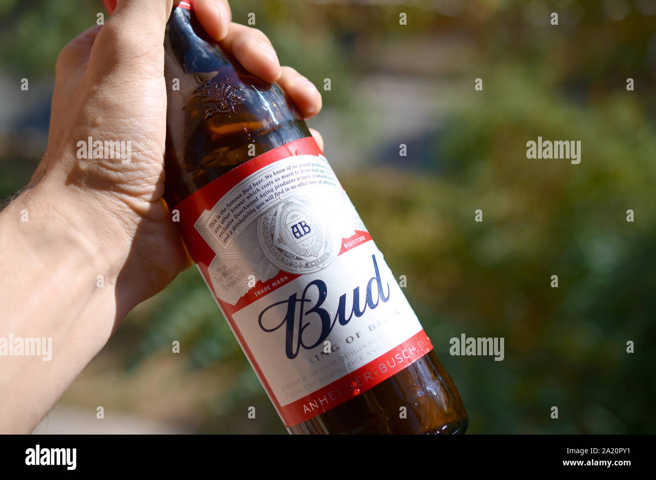 KHARKOV, UKRAINE - SEPTEMBER 23, 2019: Bottle of Budweiser Bud beer in ...