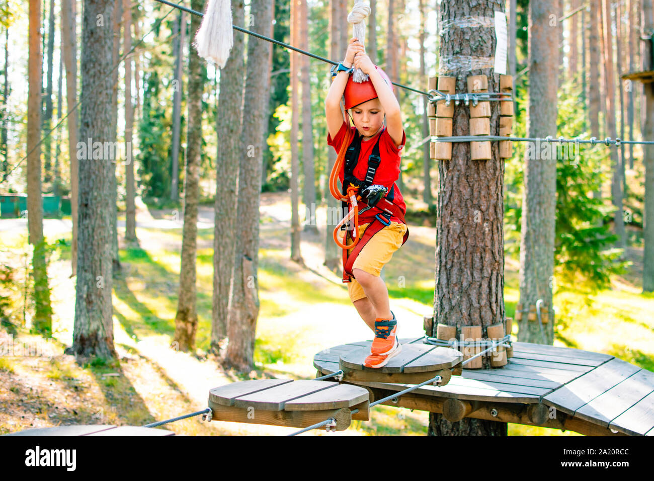Little boy with climbing gear climbing rope trail between pine trees in ...