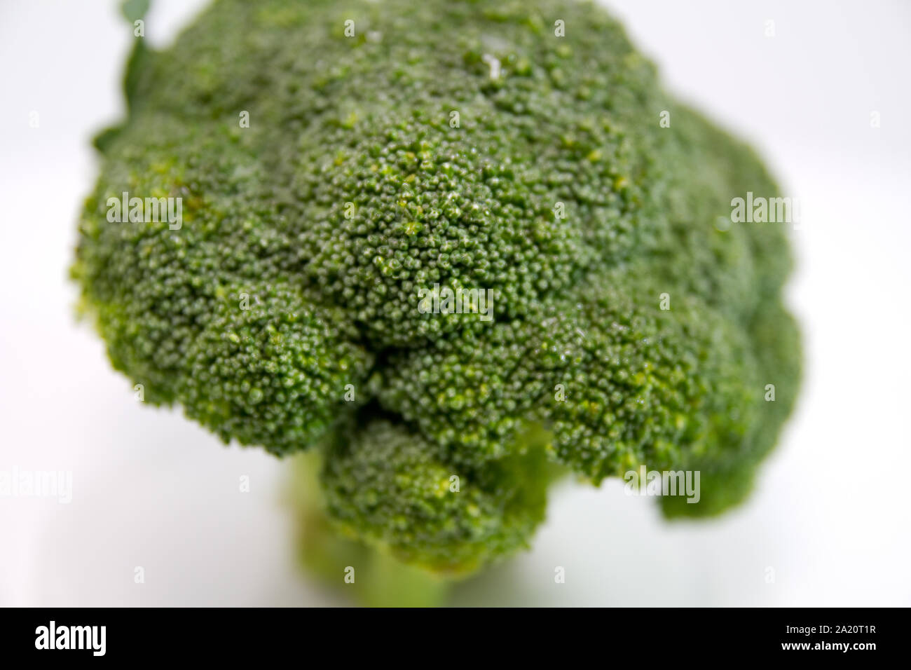 broccoli with white background in close up Stock Photo - Alamy