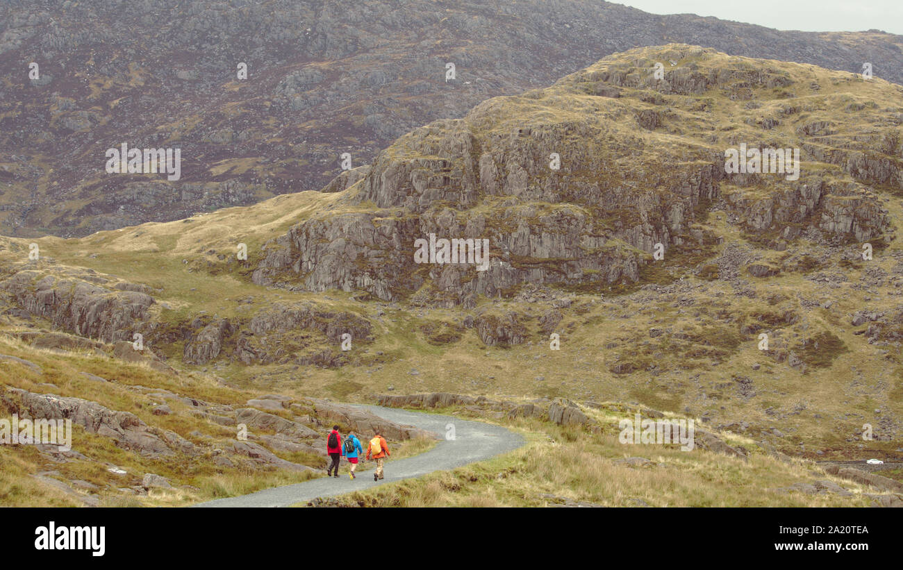 Snowdon ranger hi-res stock photography and images - Alamy