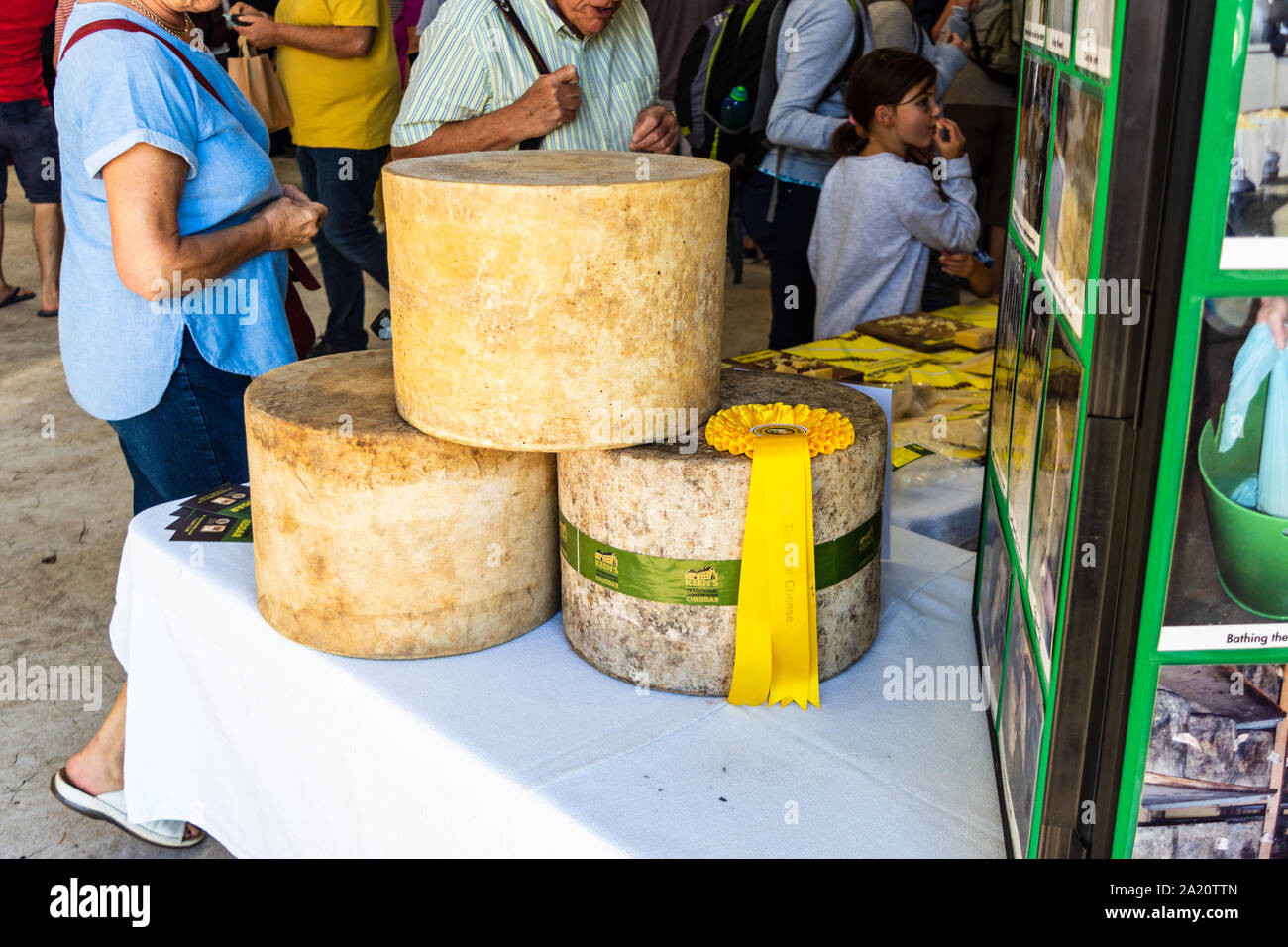Unpasterised cheddar hi-res stock photography and images - Alamy