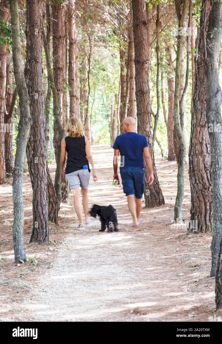 Two people walk in forest hi-res stock photography and images - Alamy