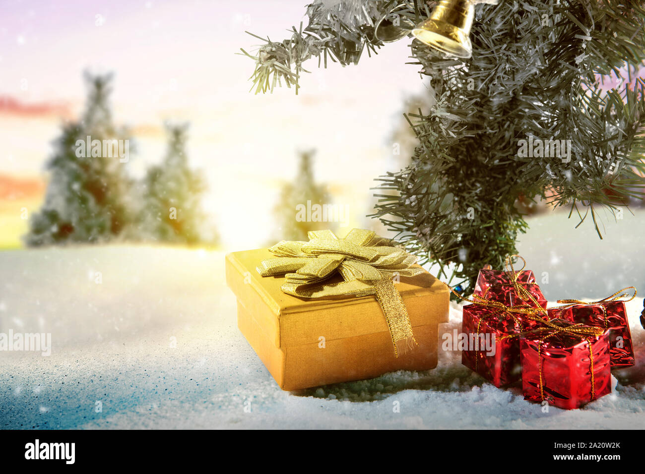 Fir trees gift box hi-res stock photography and images - Alamy