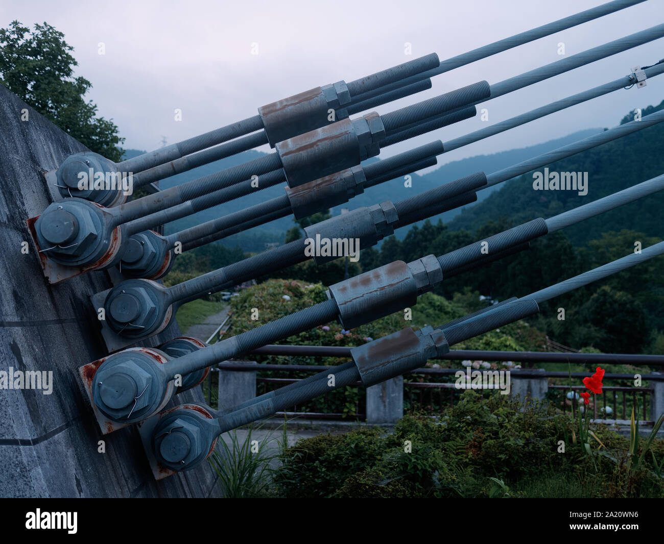 Detail of suspender cables of the suspension bridge at the Hadano ...