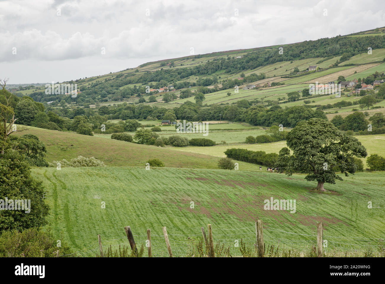 Landscape, Valley, Dale, Countryside Stock Photo - Alamy