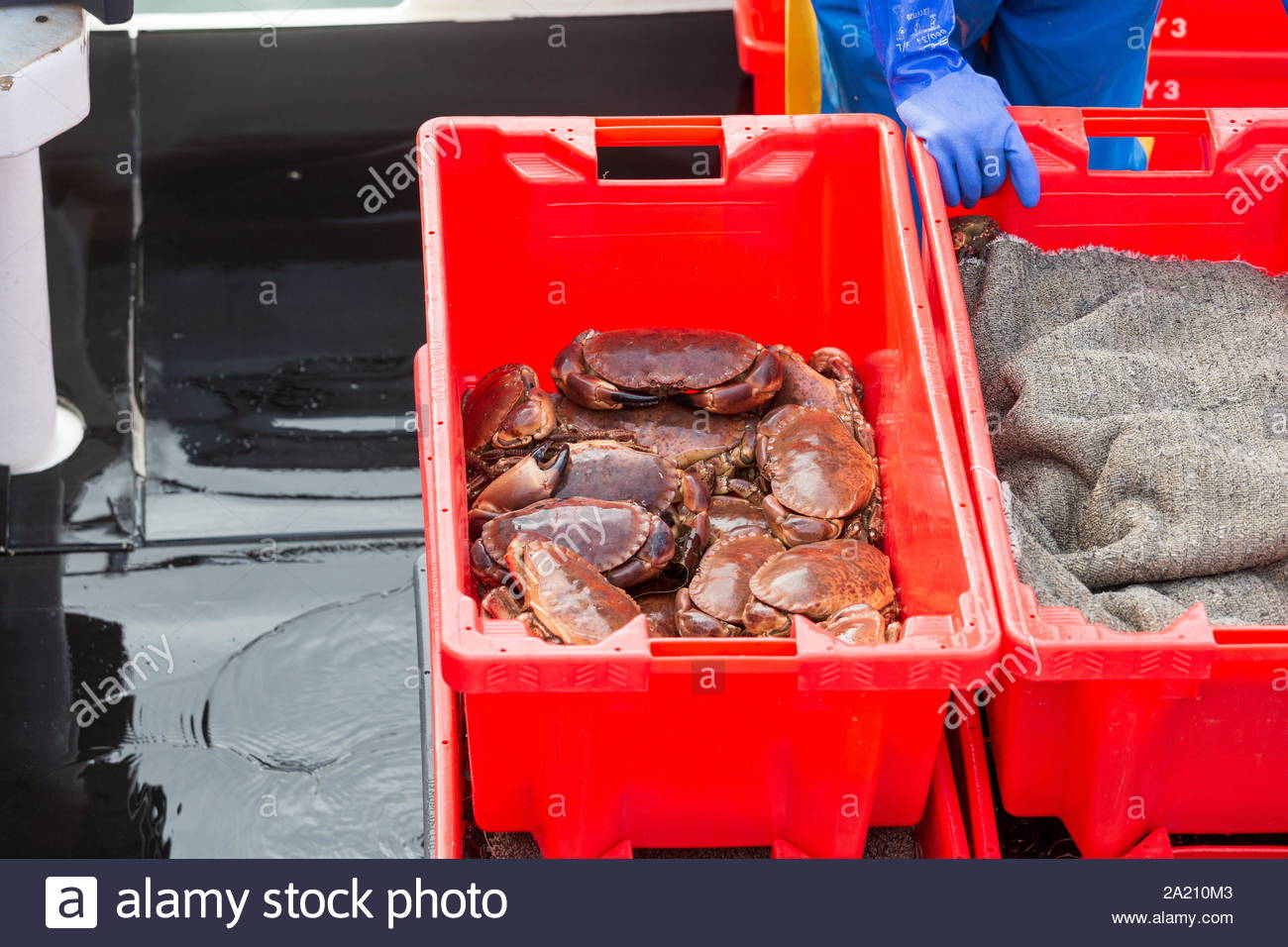 Fresh Catch High Resolution Stock Photography and Images - Alamy