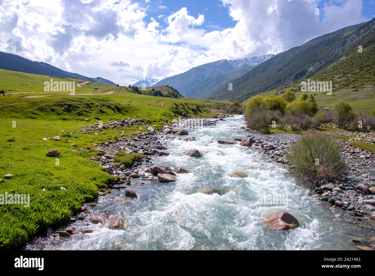 Mountain river flowing through a green valley between hills covered ...