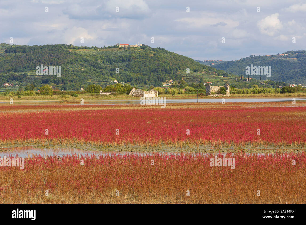 Piran salt fields hi-res stock photography and images - Alamy