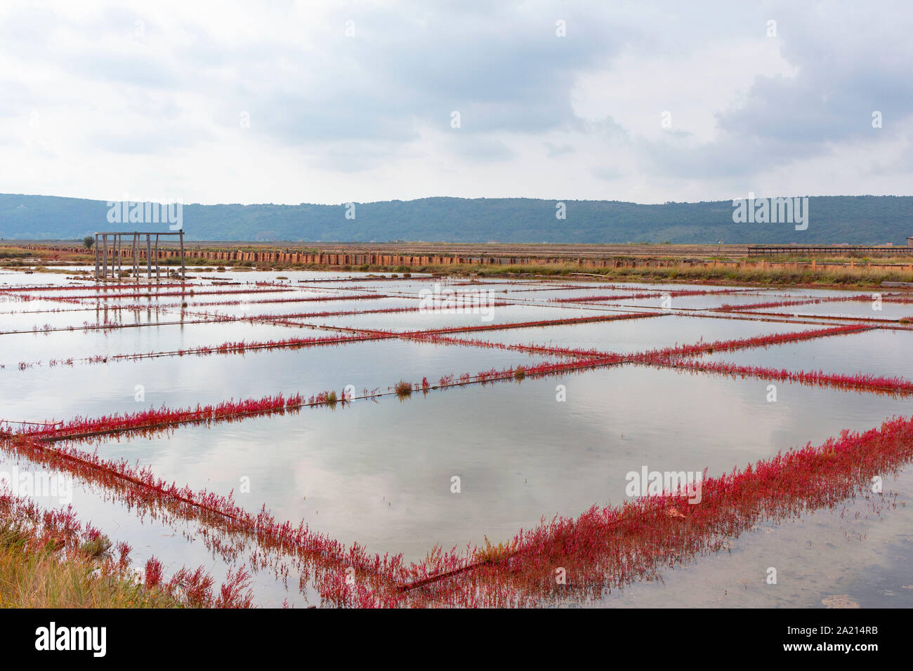 Soline Piran - salt harvesting fields Stock Photo - Alamy