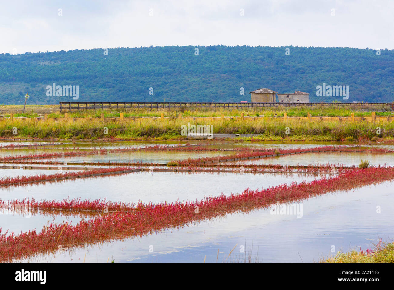 Salt harvesting hi-res stock photography and images - Alamy