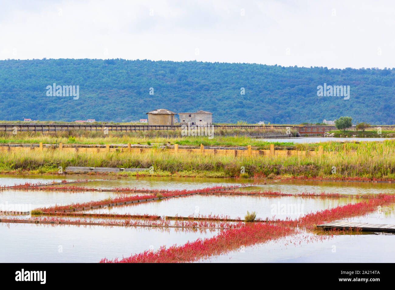Soline Piran - salt harvesting fields Stock Photo - Alamy