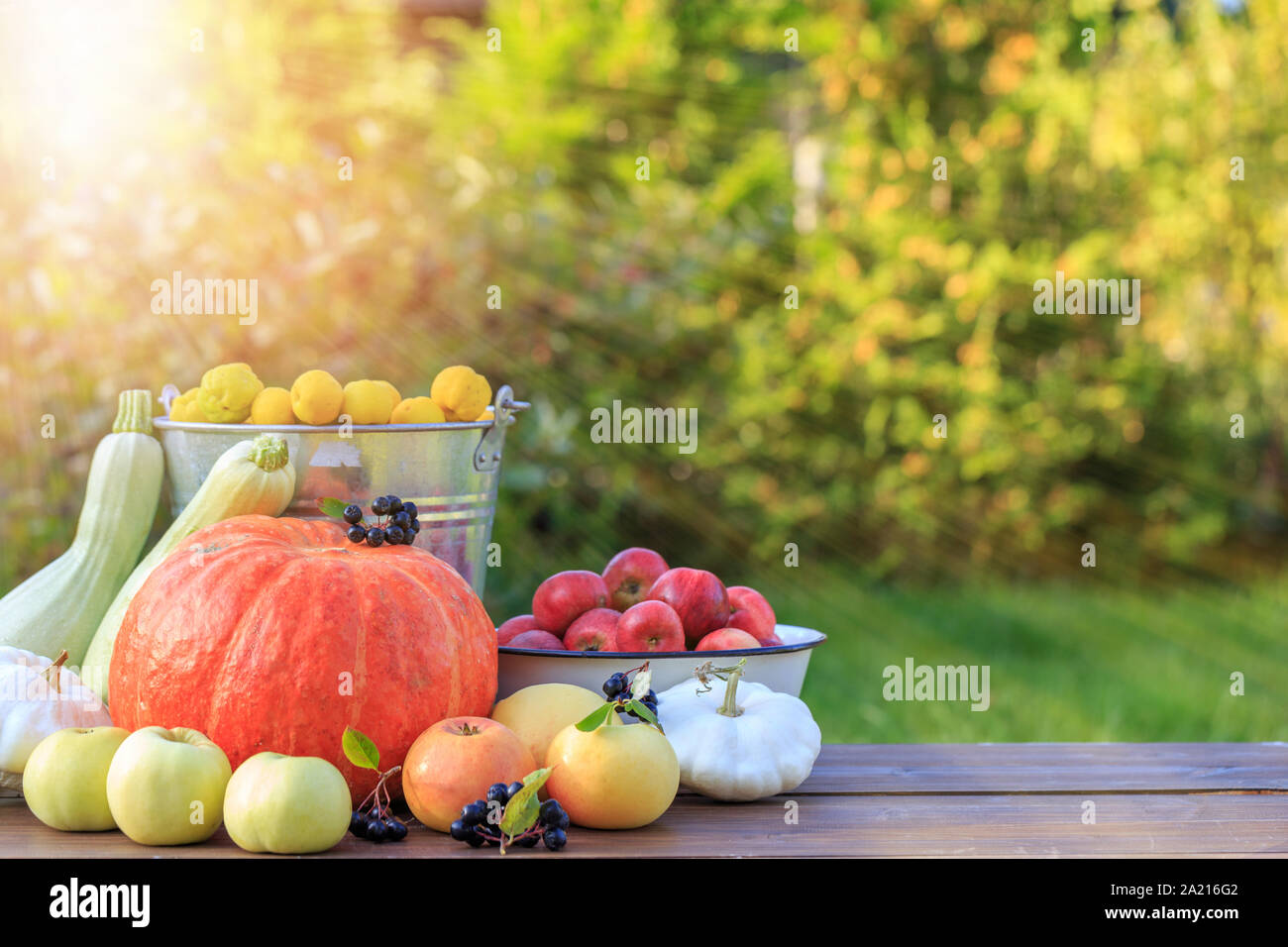 Autumn vegetables and fruits, harvest, orange pumpkin, apples, zidonia ...