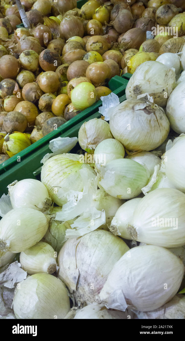 the assorted onions, close up Stock Photo - Alamy