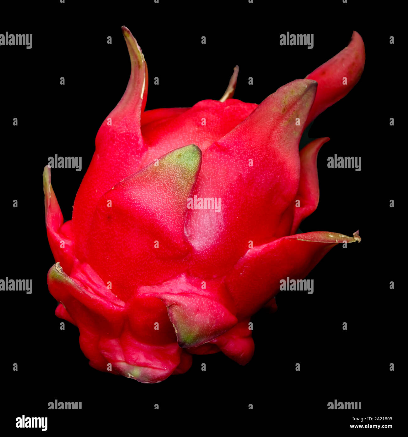 Ripe red pitaya fruit closeup isolated on black background Stock Photo ...