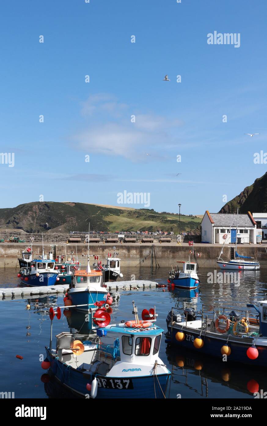 Gamrie harbour hi-res stock photography and images - Alamy