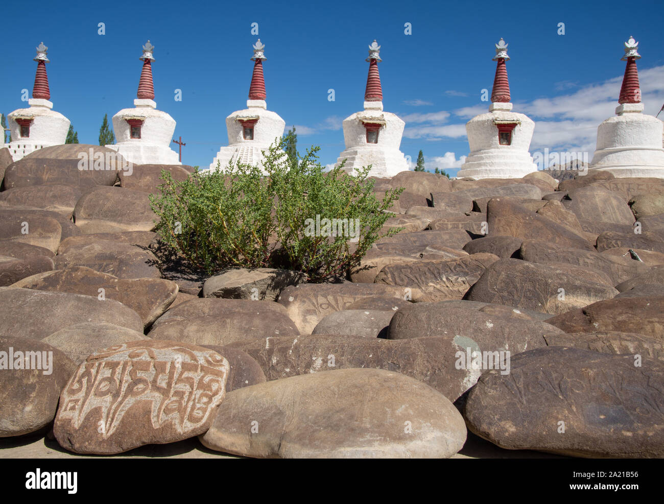Stupa india hi-res stock photography and images - Alamy