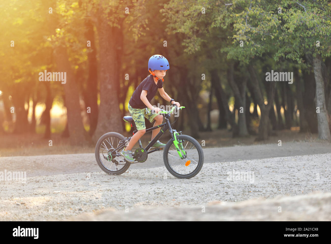 Happy kid boy of 7 years having fun in autumn park with a bicycle on ...