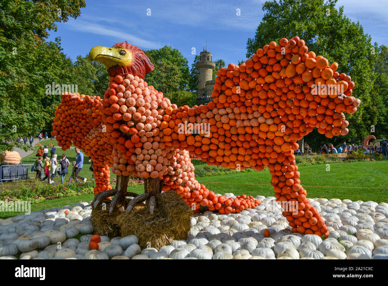 Bird phoenix made of pumpkins Stock Photo - Alamy