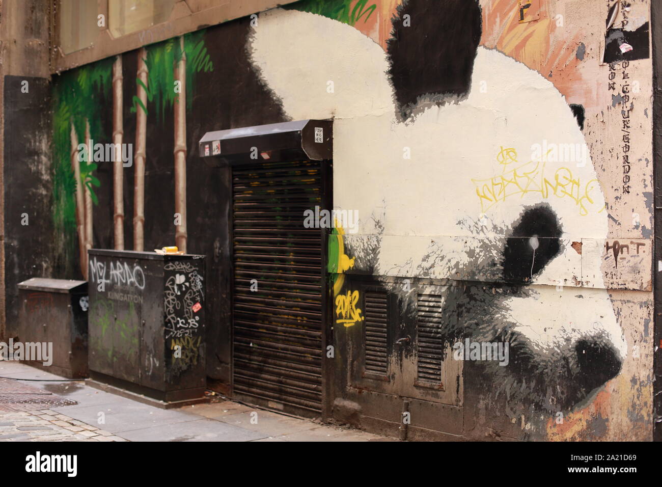 Panda trail hi-res stock photography and images - Alamy