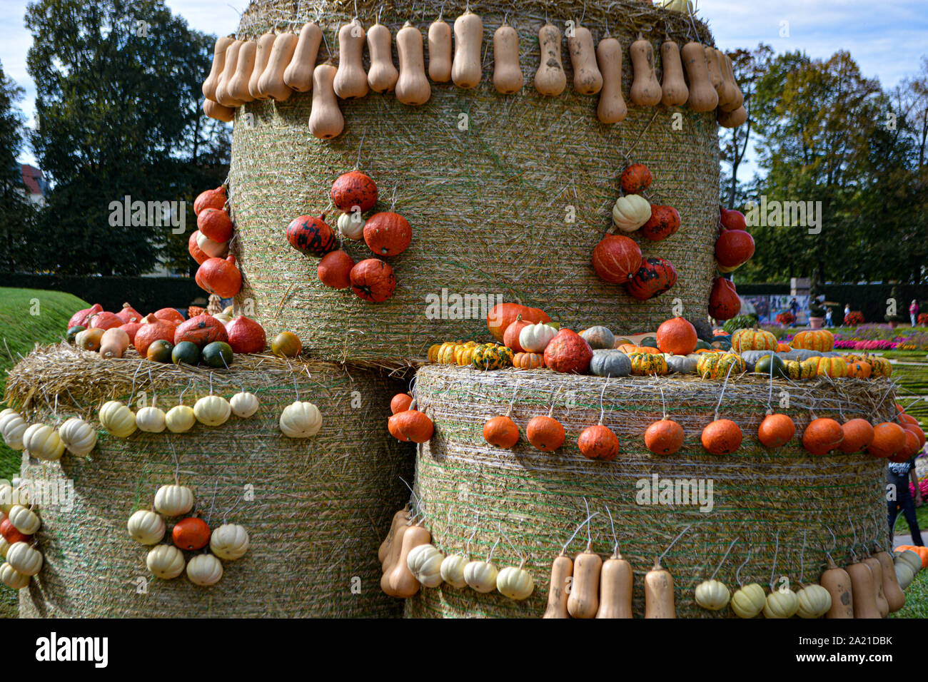 Fall pumpins hi-res stock photography and images - Alamy