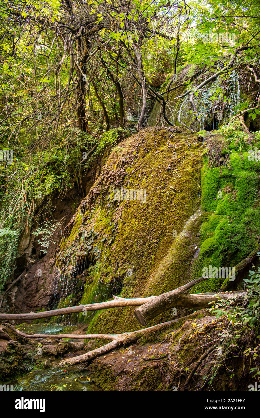 Krushuna Falls are a series of waterfalls in northern Bulgaria, near ...