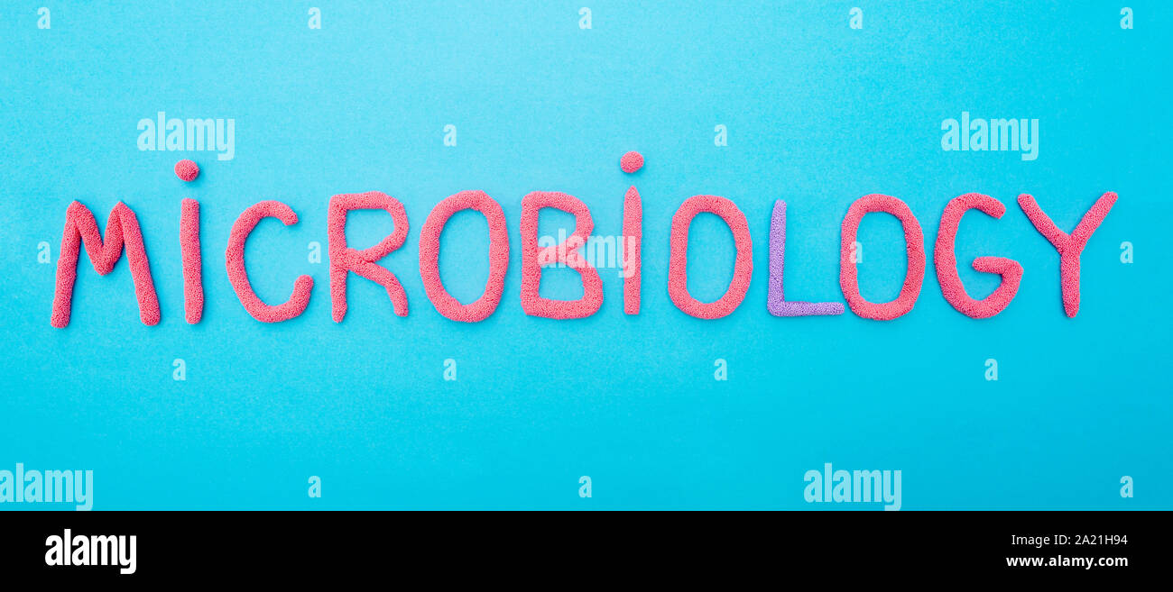 Microbiology word laid out on a blue background from red plasticine ...